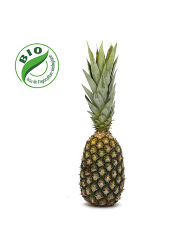 Fruits exotiques | Marrakech | les Domaines